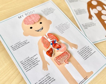 Human Body Book | Etsy