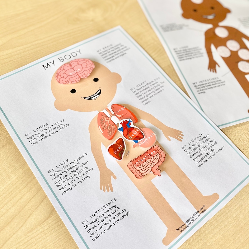 Human Body Puzzle - Etsy