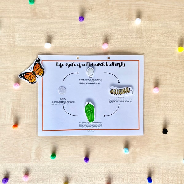Preschool Butterfly Worksheets - Etsy