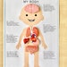 My Body Human Anatomy Matching Game Light Skin. Learn Human Organs ...
