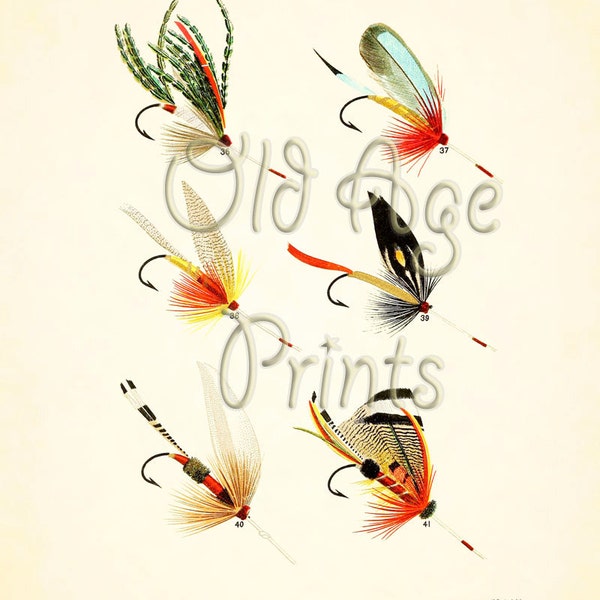 Antique Orvis Flies - Etsy