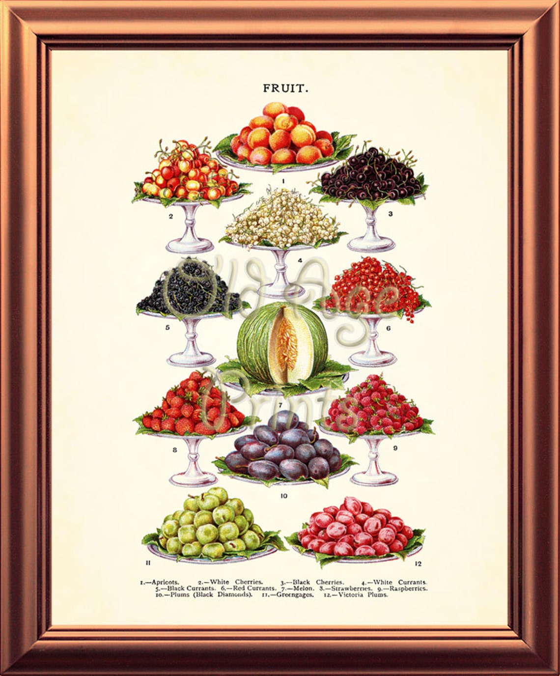 Antique Culinary Print 1865 FRUITS Plate 1 8x10 Art Print Food Cookery ...