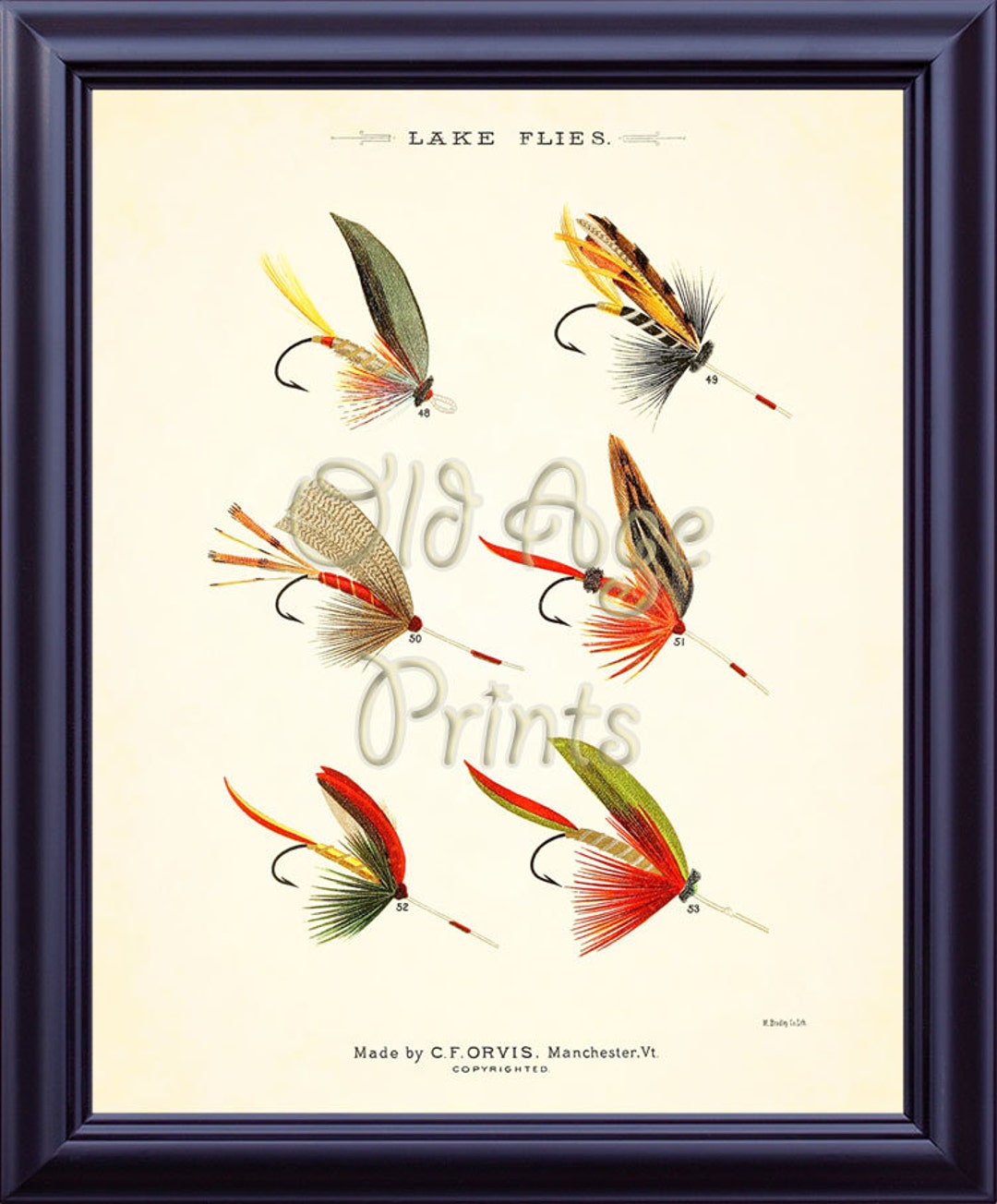 ORVIS Favorite Flies Fly Fishing LAKE Flies 8x10 Vintage Art Print Red ...