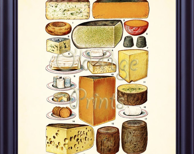 Antique Culinary Print CHEESE 8x10 Art Print Food Cookery - Etsy