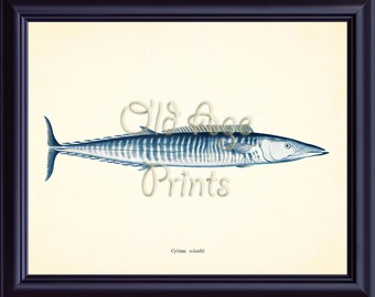 Camera Drawing 10x8 Print - Etsy