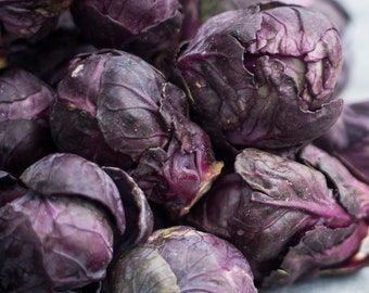 Santa Fe Grande Guero Pepper Premium Seed Packet - Etsy