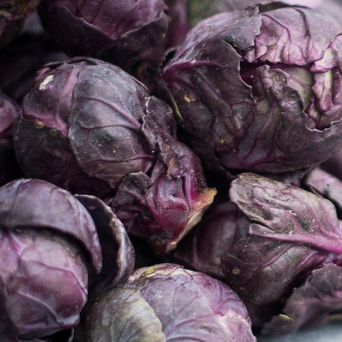 Red Bull Brussels Sprouts Heirloom Premium Seed Packet - Etsy