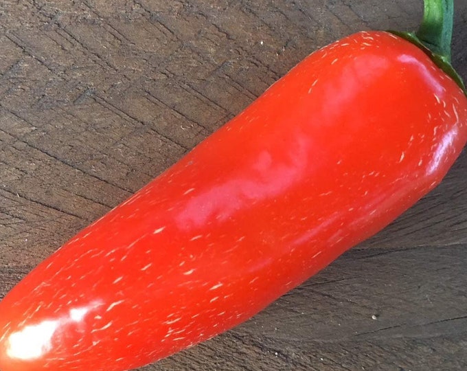 Red Tassel Flower Tasselflower Emilia Javanica Aster Premium - Etsy