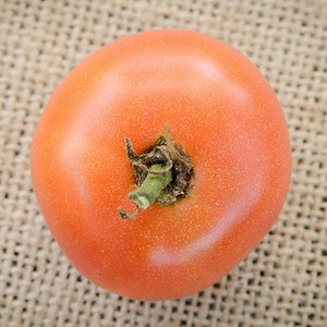 Moskvich Russian Heirloom Tomato Premium Seed Packet - Etsy