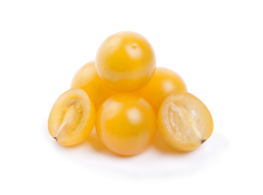 Coyote Yellow Heirloom Cherry Tomato Premium Seed Packet - Sweetest ...