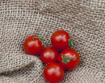 Tims Black Ruffles Heirloom Tomato Premium Seed Packet - Etsy