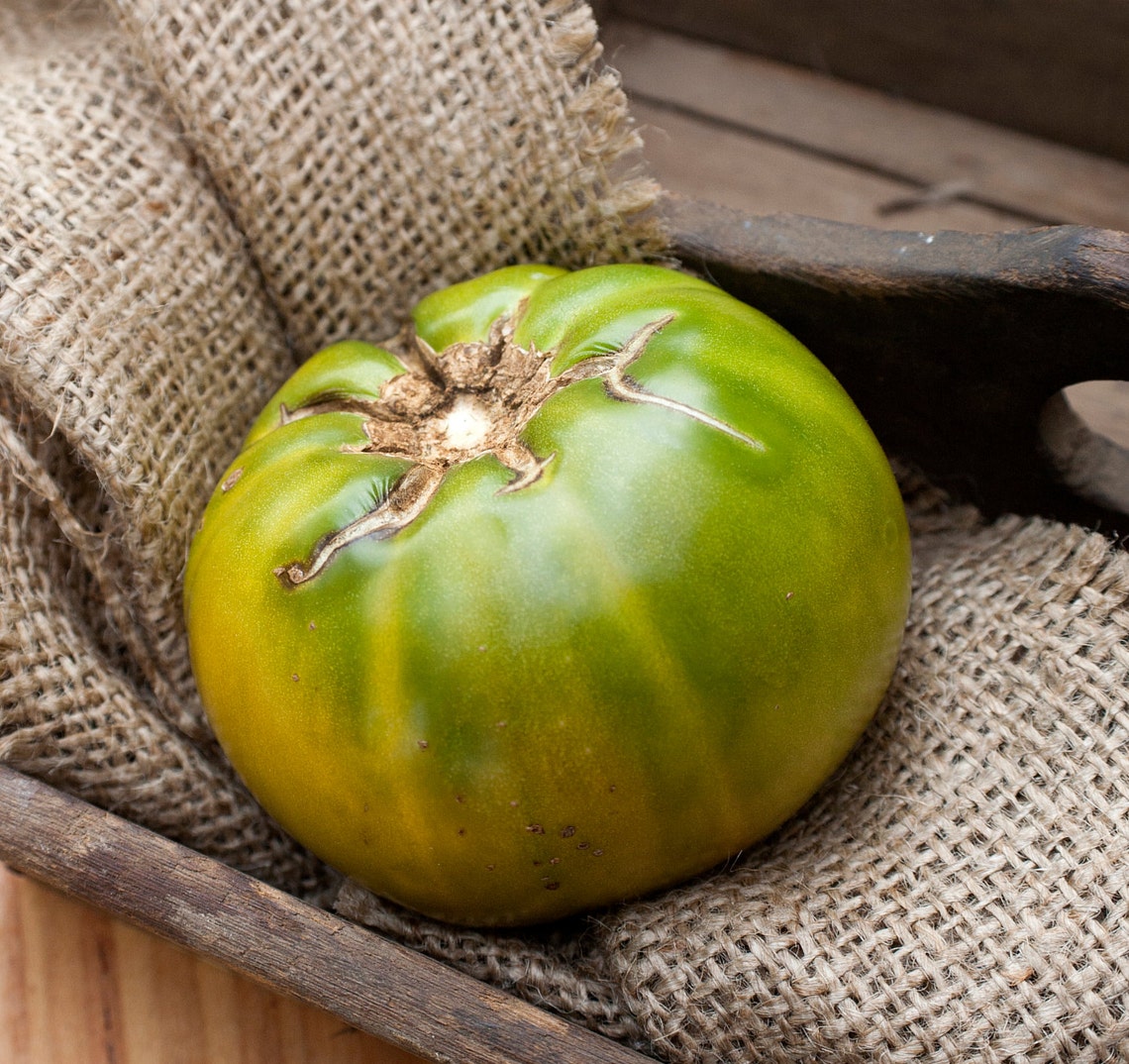 Aunt Rubys German Green Heirloom Tomato Premium Seed Packet - Etsy