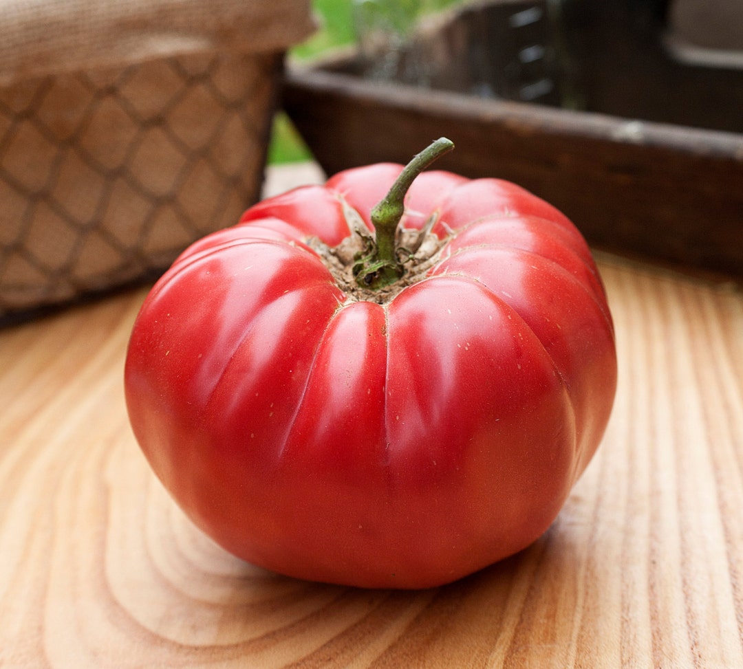 Caspian Pink Heirloom Tomato Premium Seed Packet - Etsy