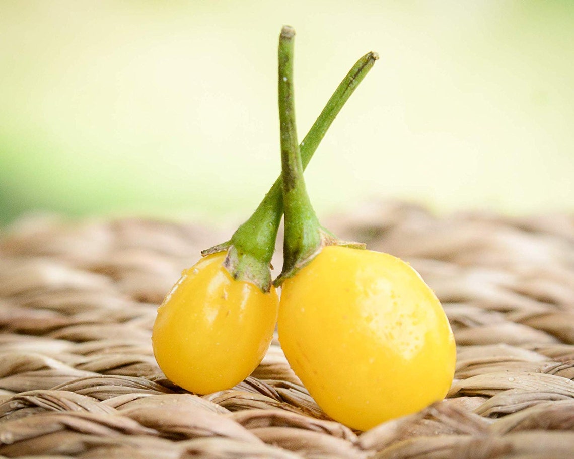 Yellow Wiri Wiri Heirloom Pepper Premium Seed Packet - Etsy