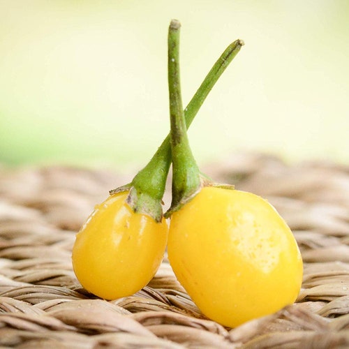 Yellow Wiri Wiri Heirloom Pepper Premium Seed Packet - Etsy