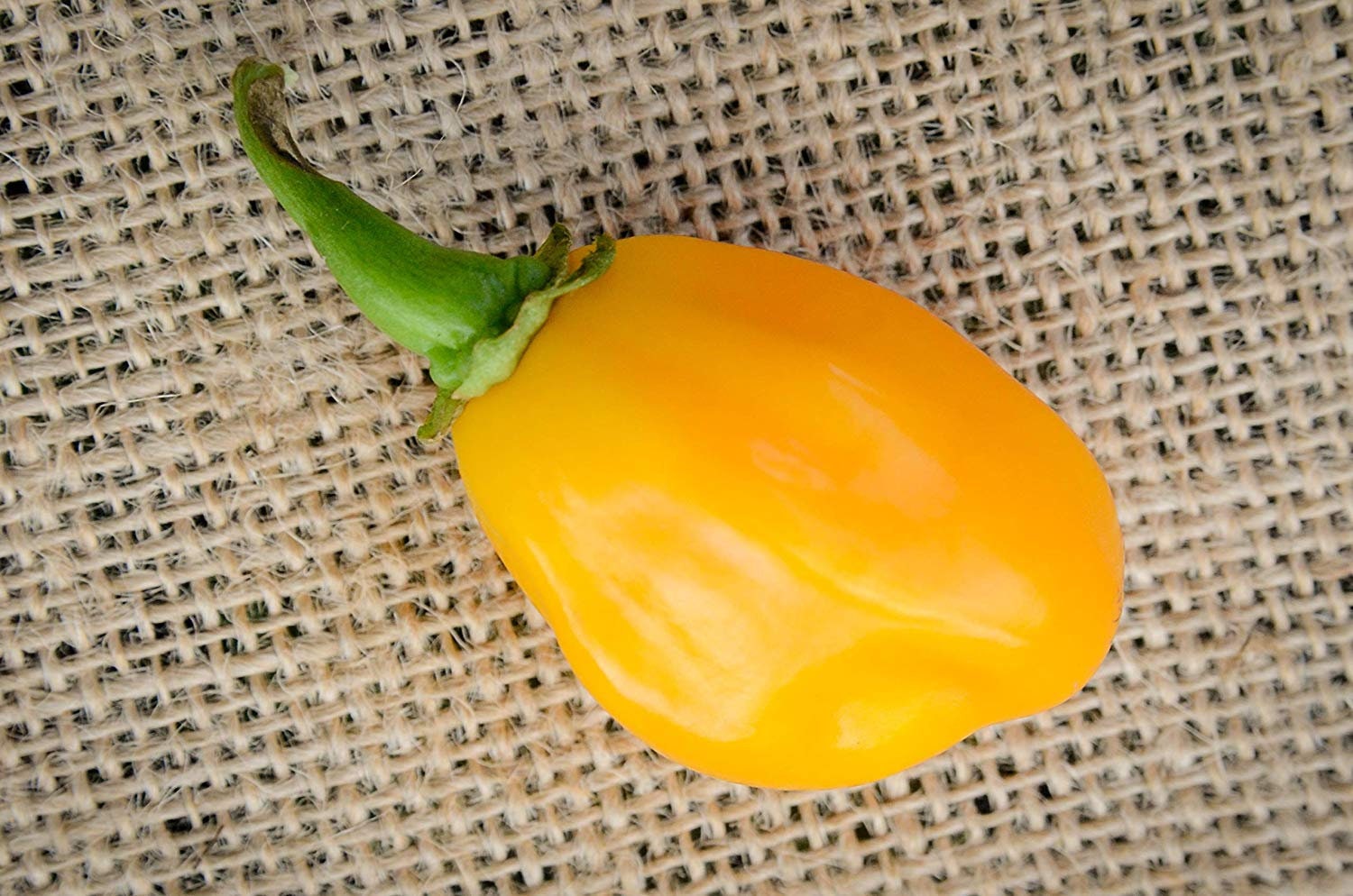 Aji Dulce Yellow Round Heirloom Pepper Premium Seed Packet | Etsy