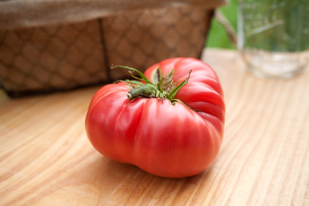 1884 Olde Timey Heirloom Tomato Premium Seed Packet - Etsy