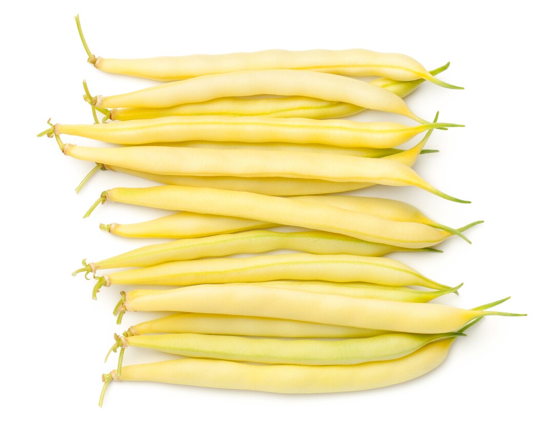 Goldmine Yellow Wax Bean Premium Seed Packet - Etsy