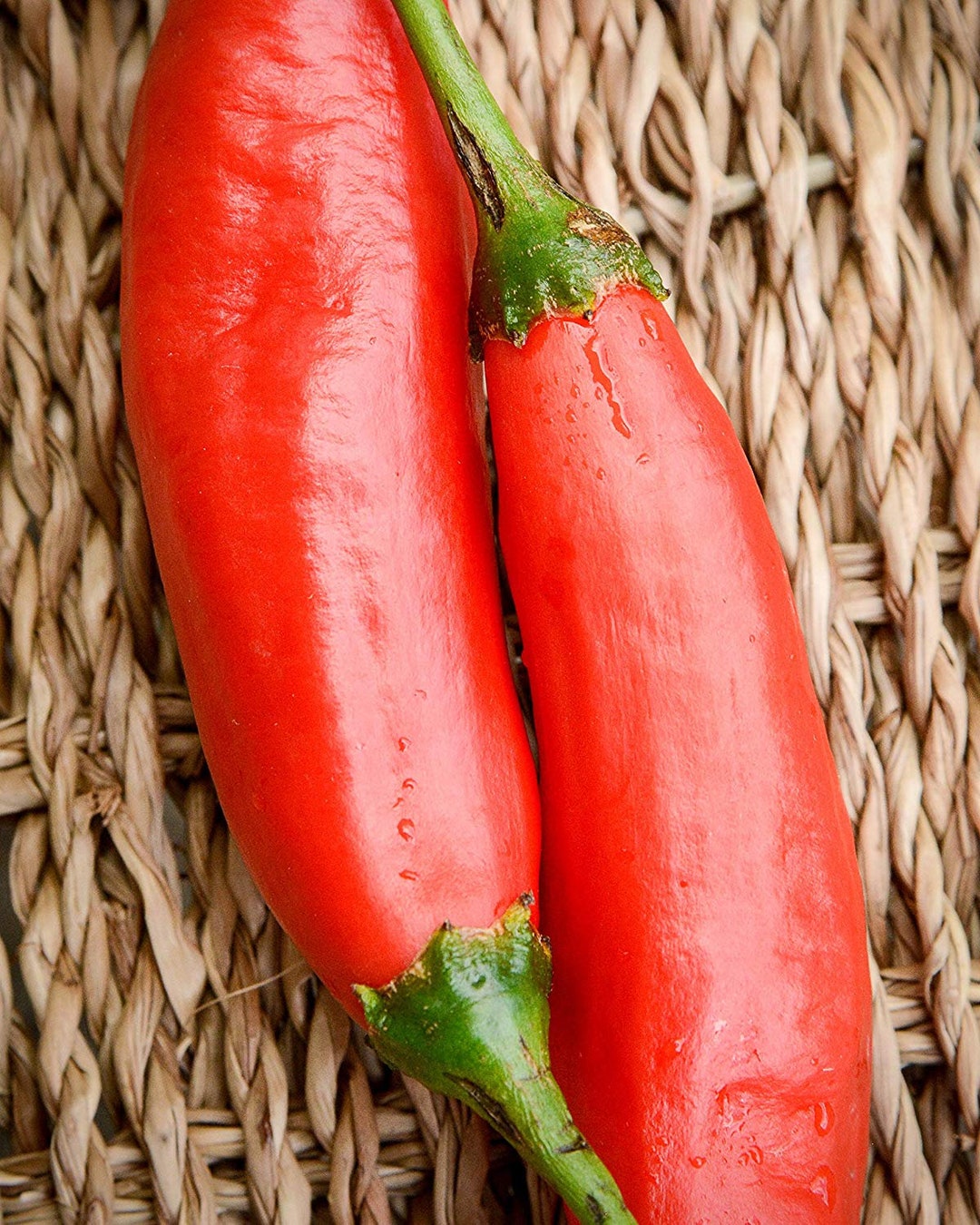 Aji Colorado Peruvian Heirloom Pepper Premium Seed Packet - Etsy