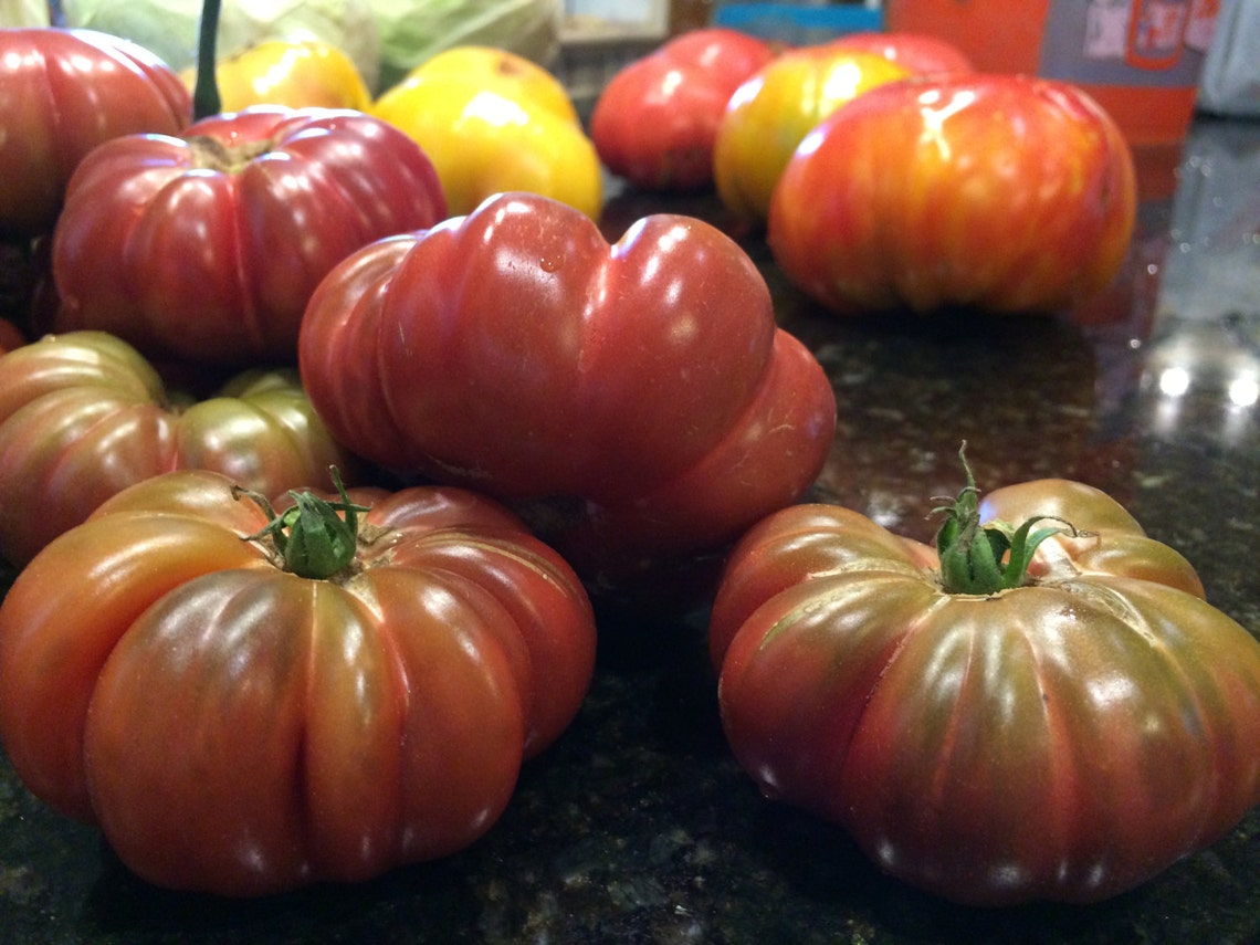 Tims Black Ruffles Heirloom Tomato Premium Seed Packet | Etsy