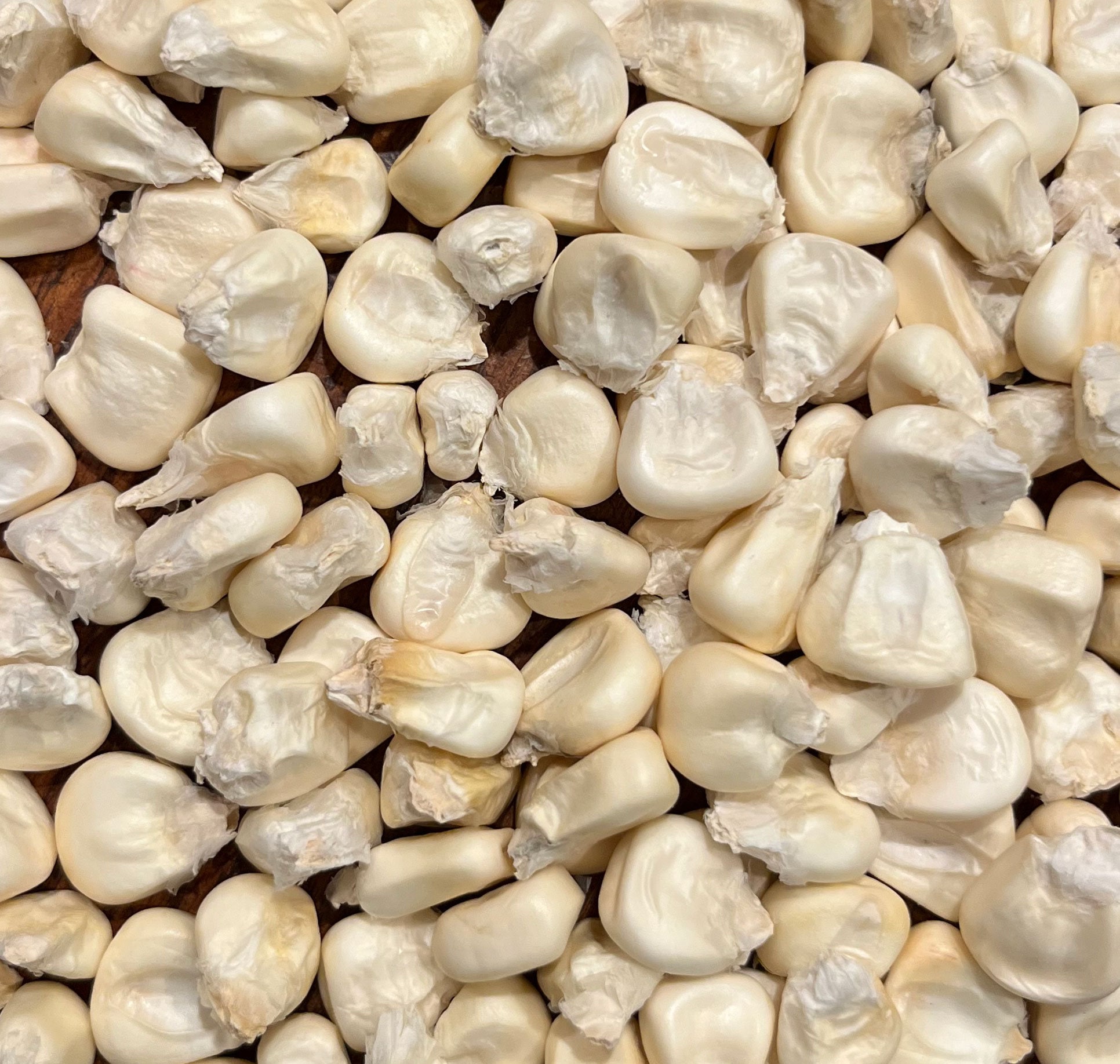 Cacahuazintle Maíz Blanco Masa Pozole Tamale Maíz Paquete De 20 ...