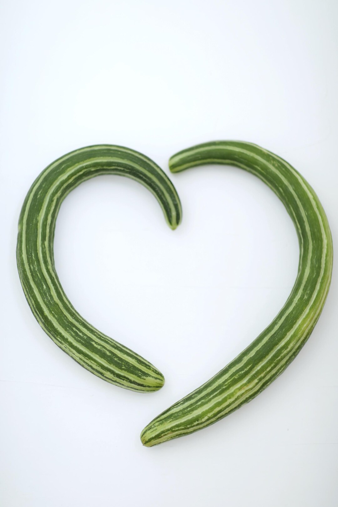 Striped Armenian Cucumber Salad Slicing Heirloom Premium Seed Packet - Etsy