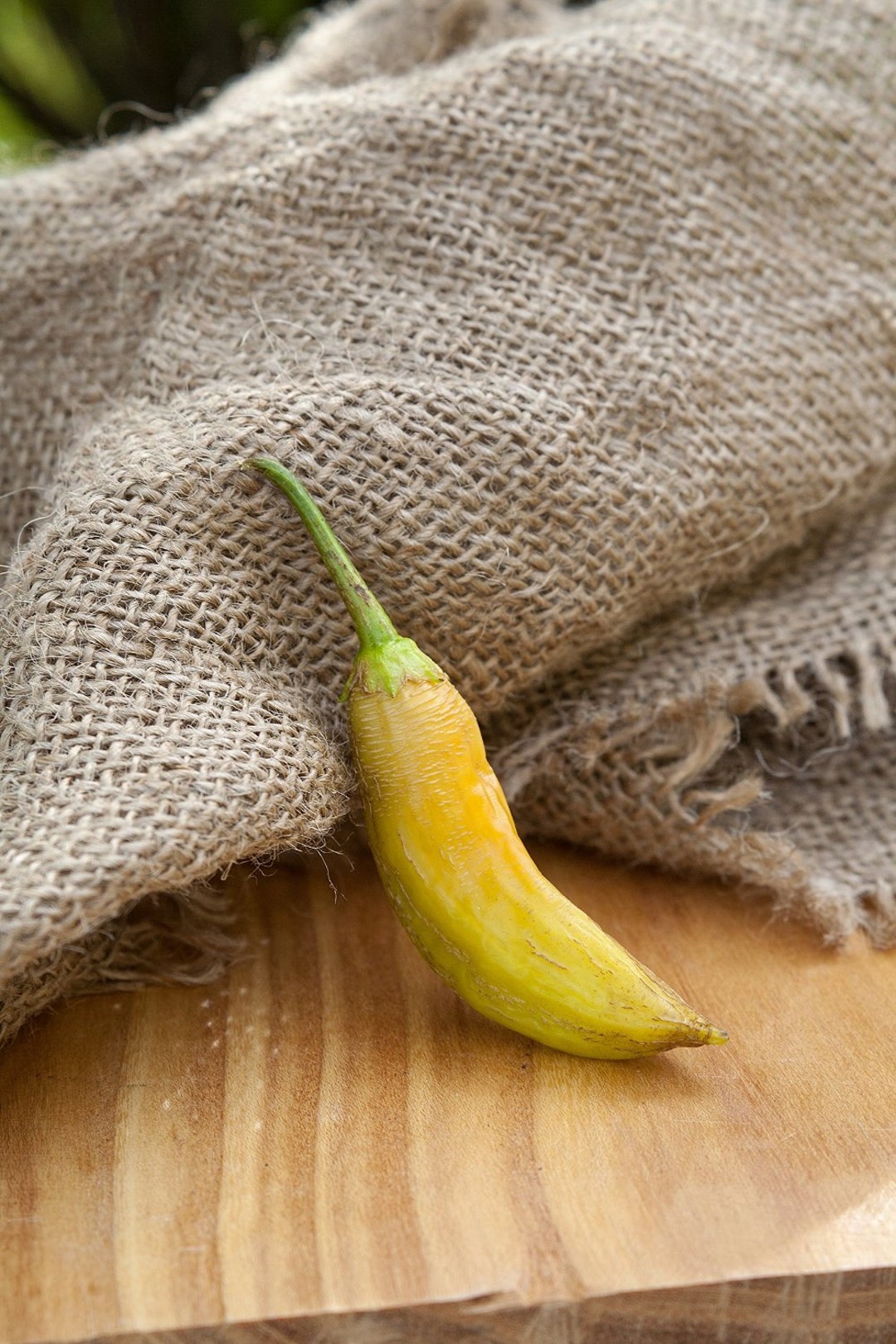 White Wax Heirloom Pepper Premium Seed Packet - Etsy