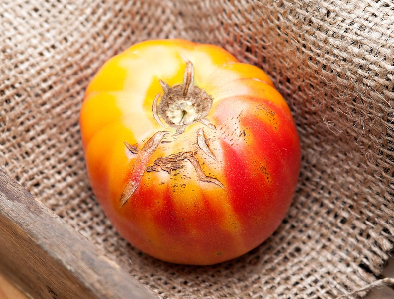 Old German Heirloom Tomato Premium Seed Packet - Etsy