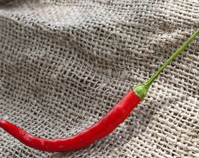 Aleppo Chile Hot Pepper Premium Seed Packet More - Etsy