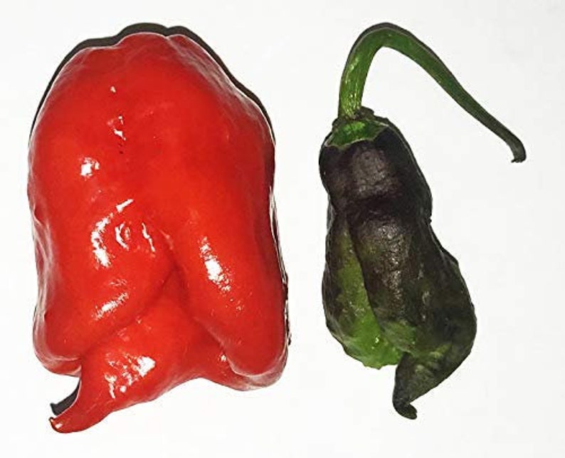 Pink Tiger X Carolina Reaper Hybrid Premium Seed Packet Record Hottest ...