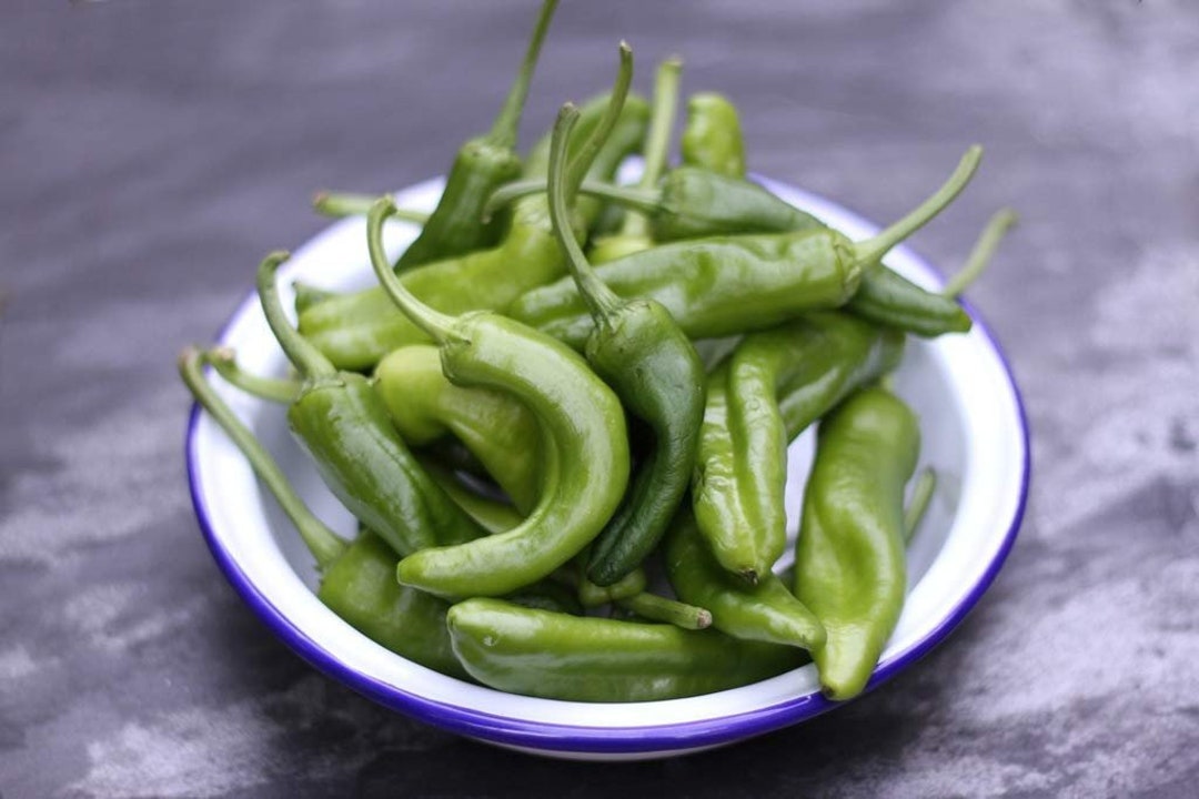 Gernika Gernikako Piperrak Chile Pepper Premium Seed Packet - Etsy
