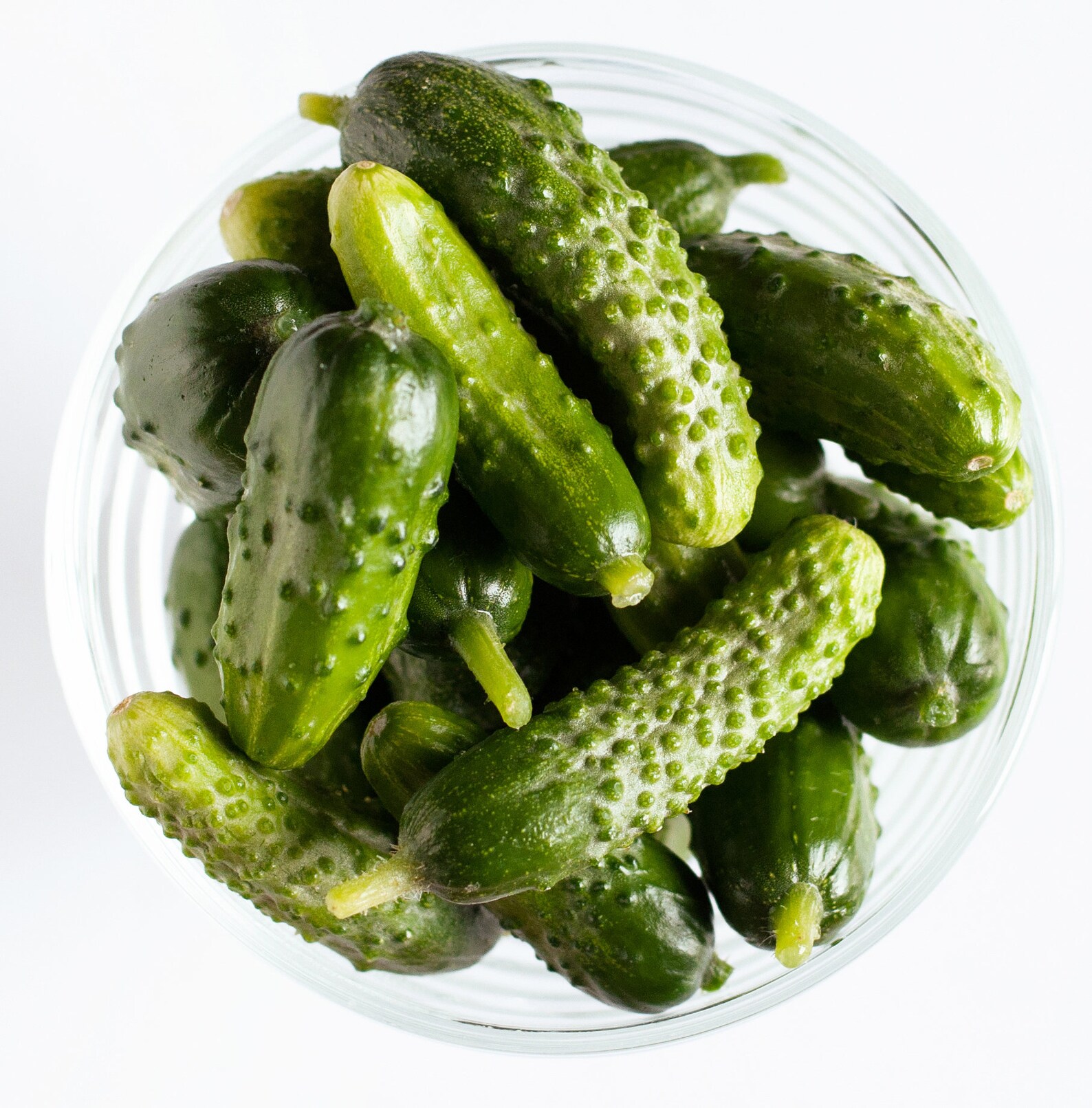 Parisian Pickling Pickler French Cornichon Cucumber Heirloom Premium ...