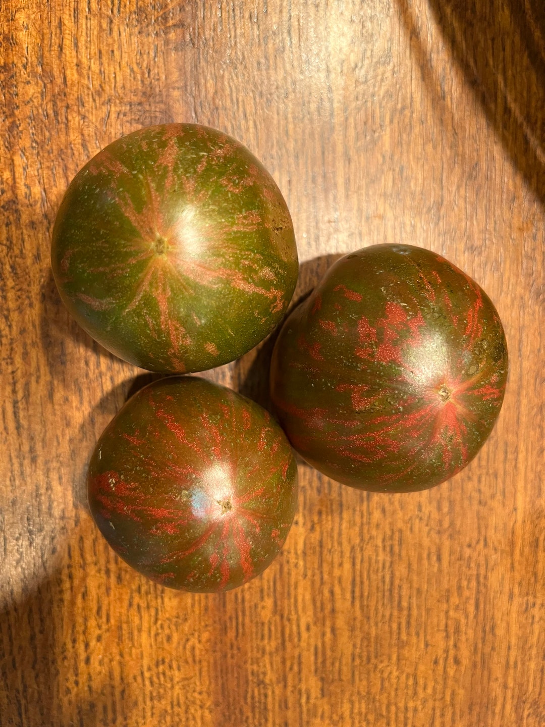 Kozula 24 Heirloom Tomato Premium Seed Packet - Etsy
