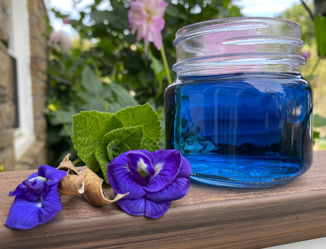 Blue Butterfly Pea Tea Seeds Double Flowered Premium Seed Packet - Etsy