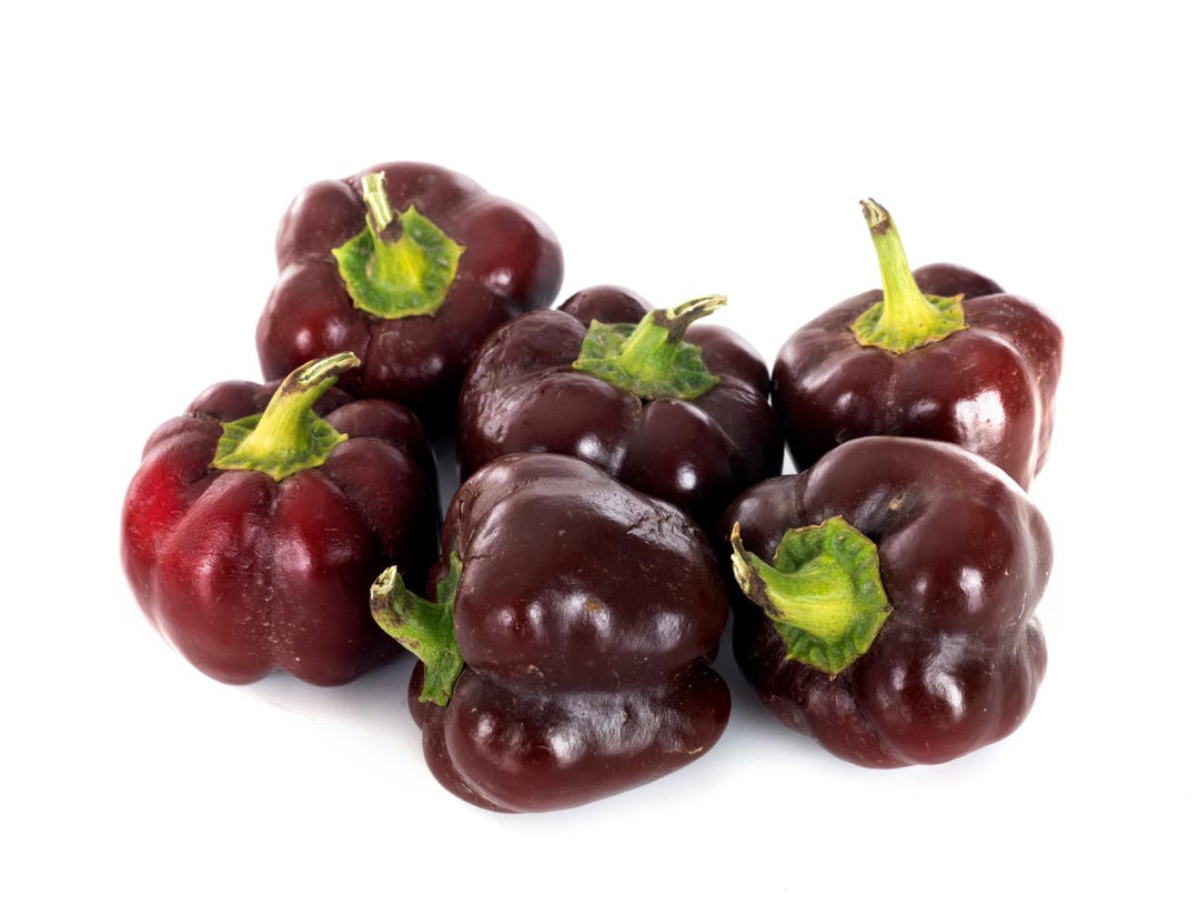 Chocolate Beauty Bell Pepper Premium Seed Packet - Etsy