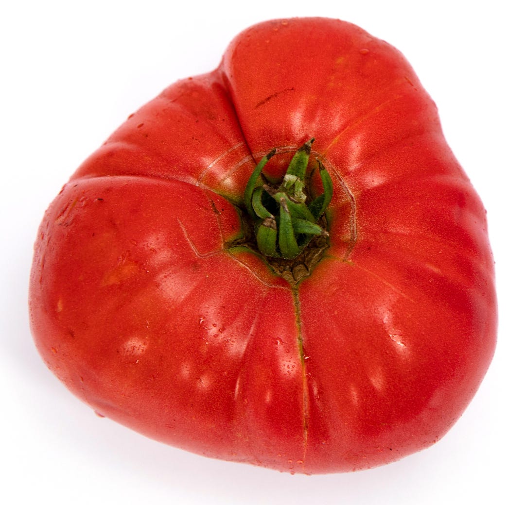 Italian Tree Tomato Heirloom Premium Seed Packet - Etsy