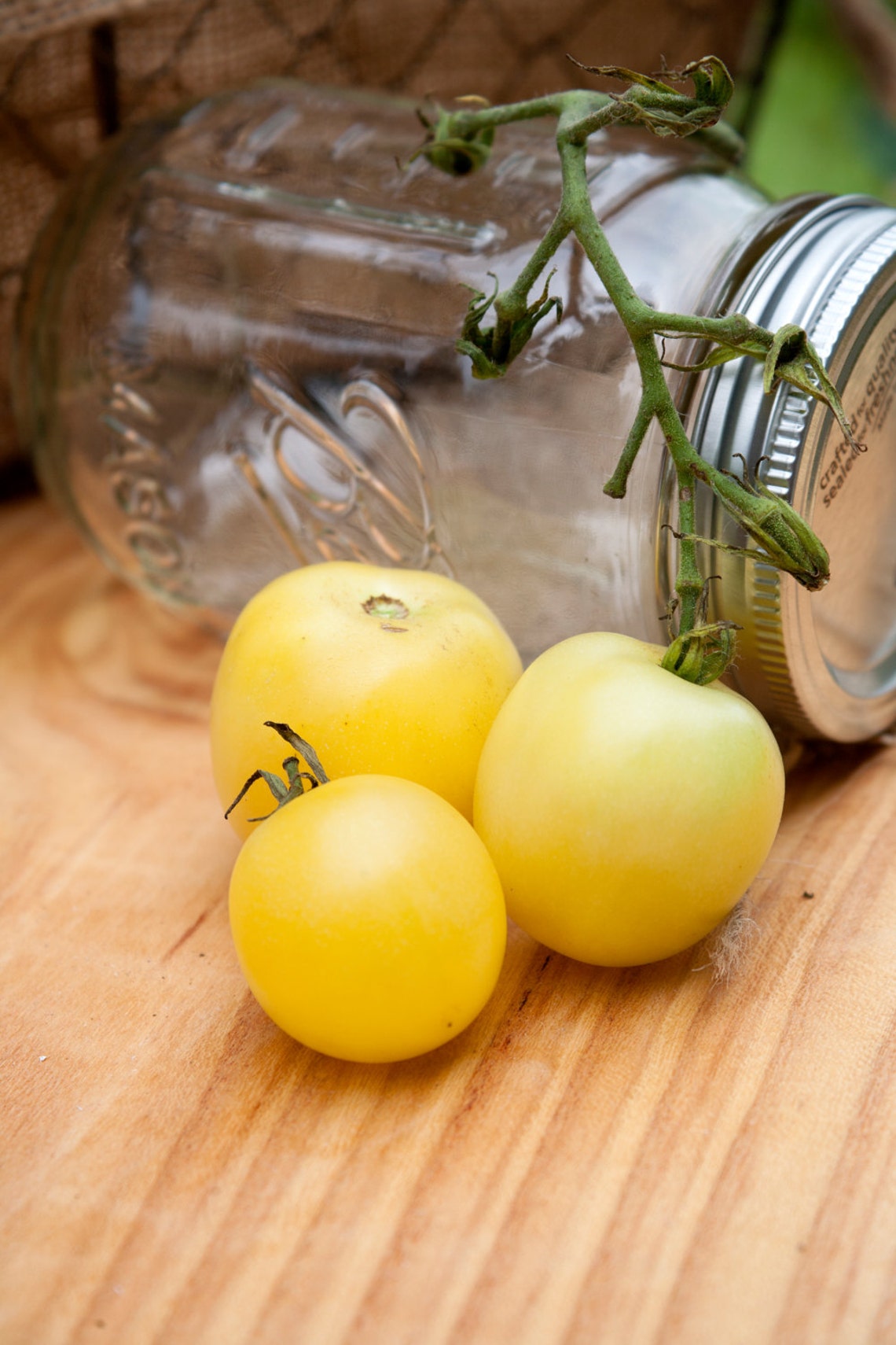 Super Snow White Heirloom Tomato Premium Seed Packet - Etsy