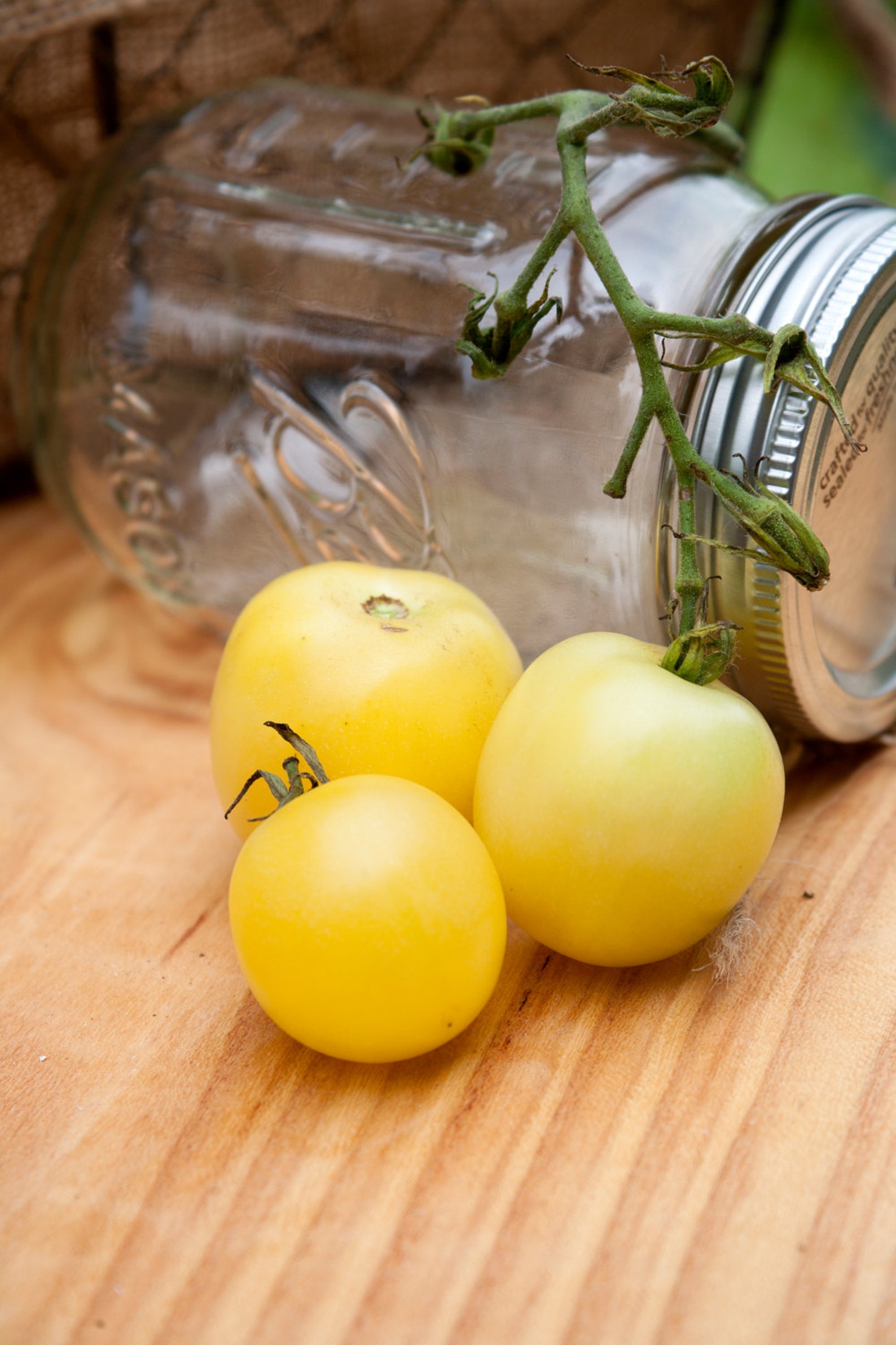 Super Snow White Heirloom Tomato Premium Seed Packet - Etsy