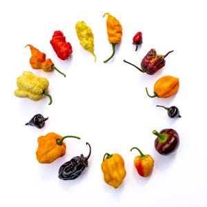 T Rex T-rex Yellow (douglah 7 Pot and Bhutlah Hybrid) Ultra Hot Pepper ...
