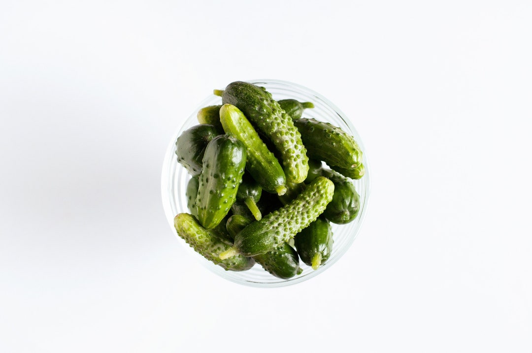 Parisian Pickling Pickler French Cornichon Cucumber Heirloom Premium ...