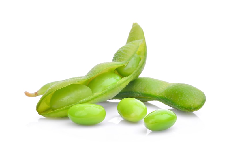 Edamame Besweet 292 Soybean Pod Premium Seed Packet - Etsy