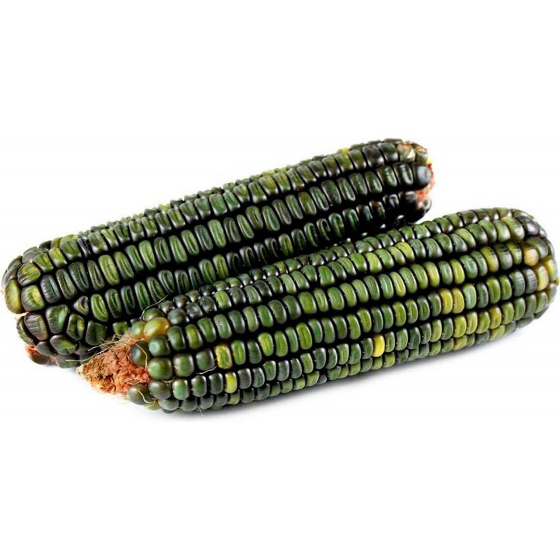 Oaxacan Green Corn Heirloom Mexican Grits Tamales Hominy Masa | Etsy