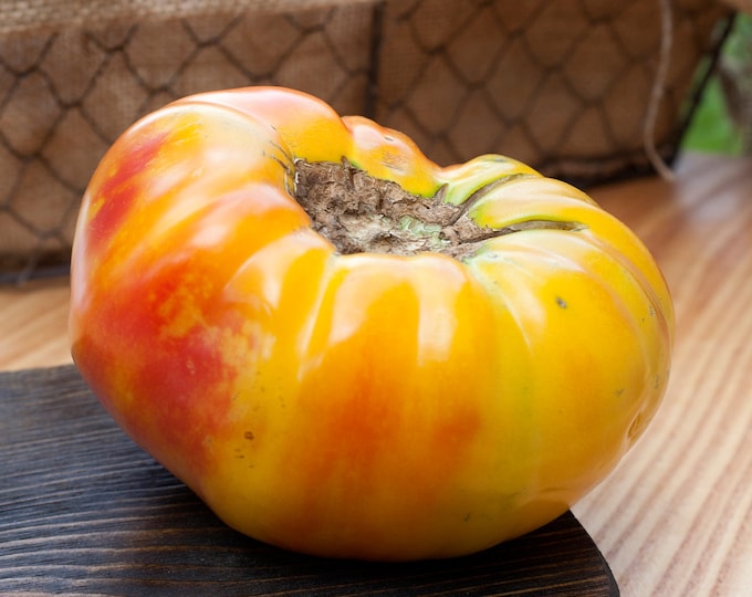 Tims Black Ruffles Heirloom Tomato Premium Seed Packet | Etsy