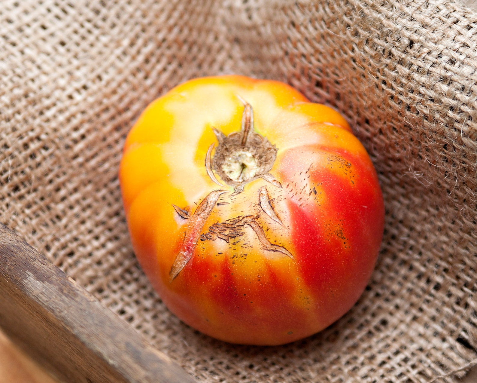 Old German Heirloom Tomato Premium Seed Packet - Etsy