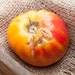 Old German Heirloom Tomato Premium Seed Packet - Etsy