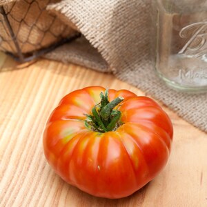 Pantano Romanesco Heirloom Tomato Premium Seed Packet - Etsy