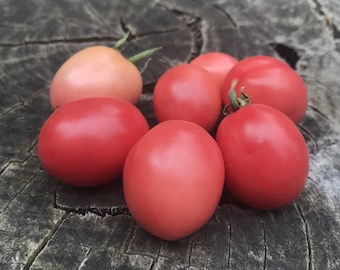 Tims Black Ruffles Heirloom Tomato Premium Seed Packet | Etsy