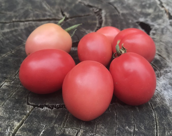 Tims Black Ruffles Heirloom Tomato Premium Seed Packet | Etsy