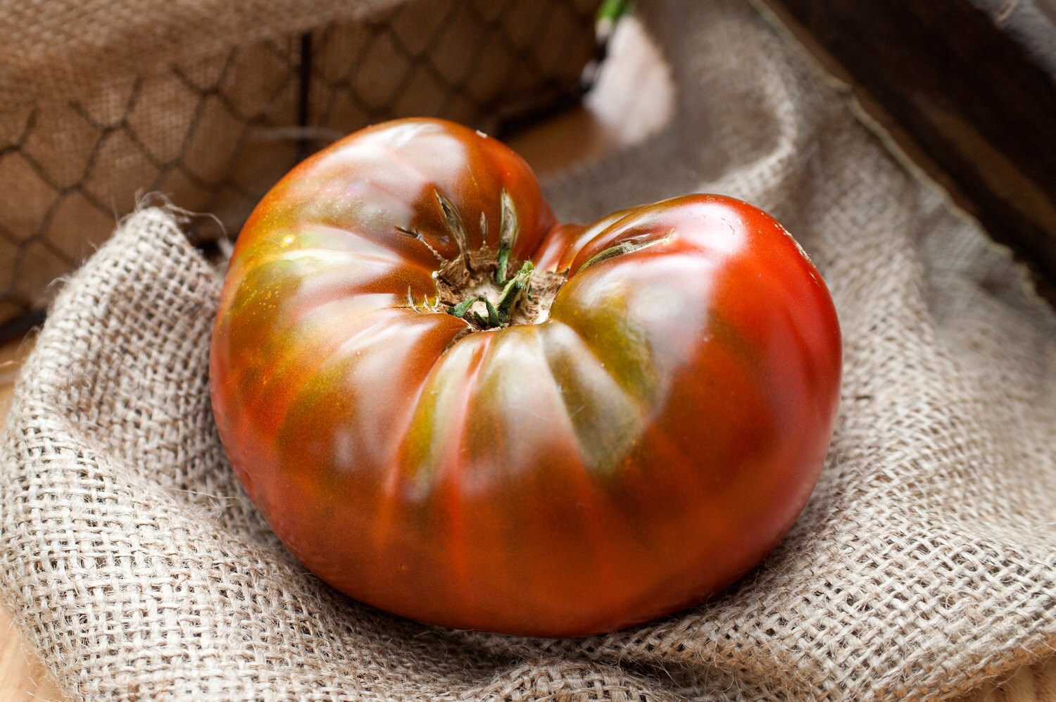 Chocolate Stripes Heirloom Tomato Premium Seed Packet - Etsy