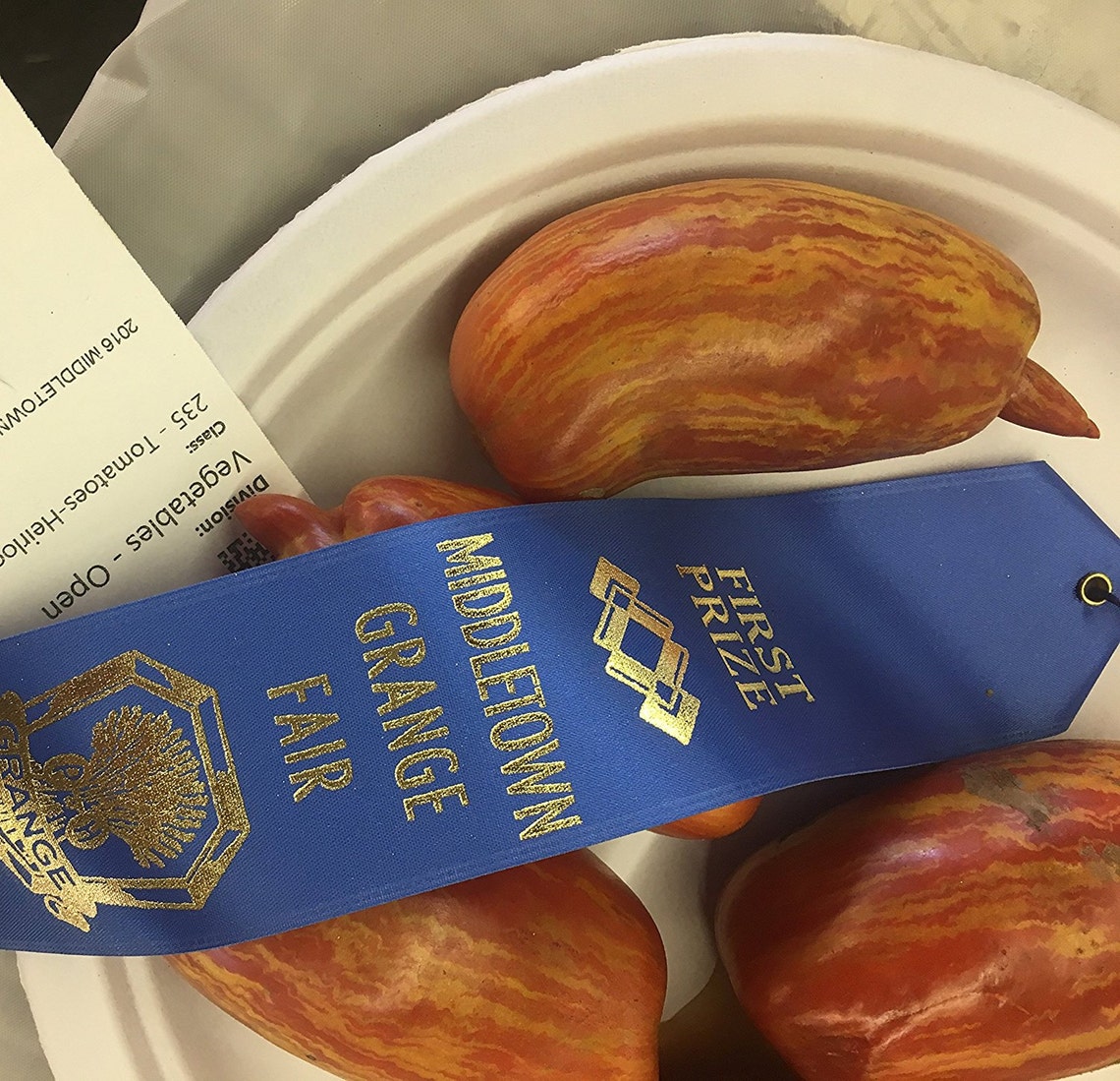 Striped speckled Roman Heirloom Tomato Premium Seed Packet | Etsy